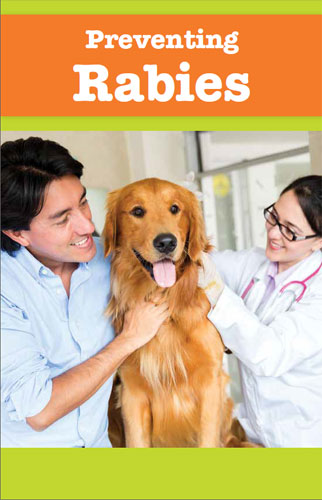 Preventing Rabies Brochure - Multiple Languages: Massachusetts Health ...